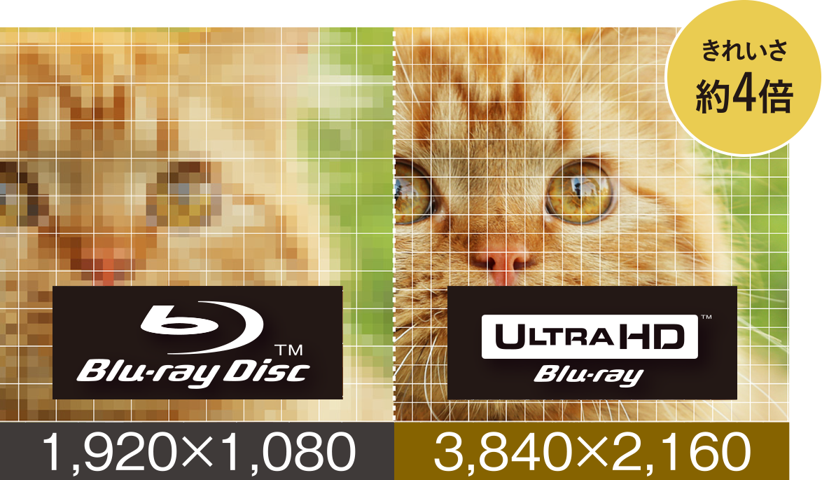 FBR-UT3000｜レコーダー／プレーヤー｜FUNAI製品情報